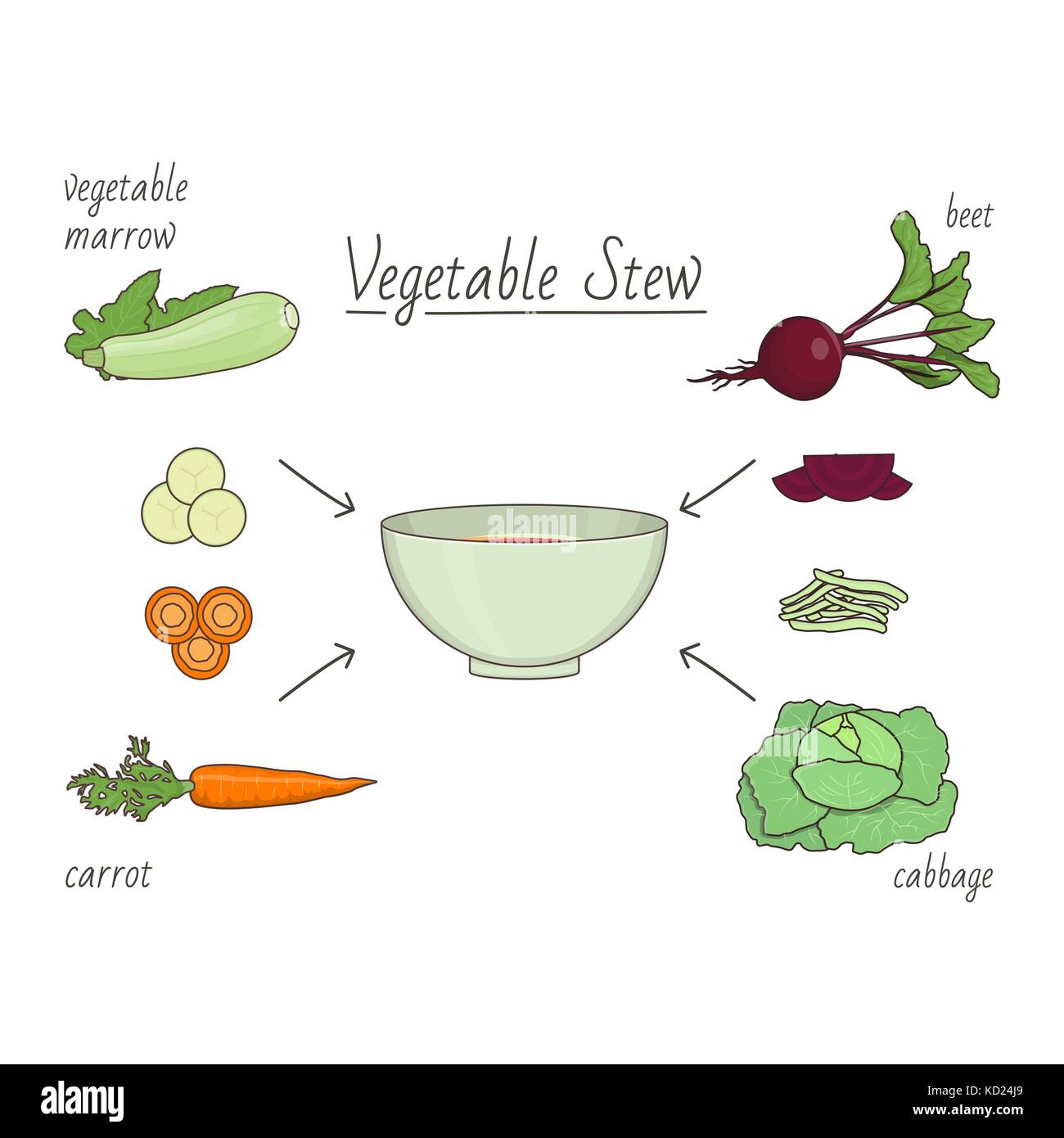 Vector illustration of ingredients for salad preparing on white ...