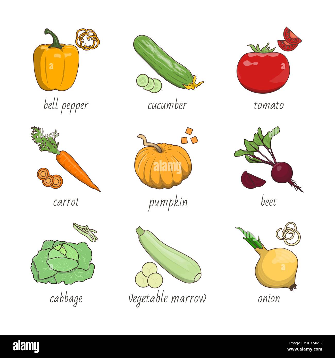 Fresh vegetables vector illustrations set on white background. Healthy ...