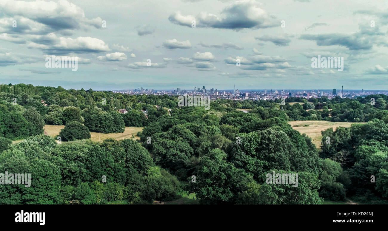 Aerial view over a park revealing the skyline of central London Stock ...