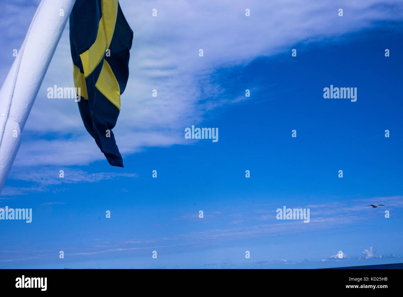 Swaying in the wind Stock Photo - Alamy