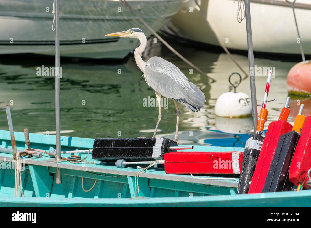 Boat lake geneva hi-res stock photography and images - Alamy
