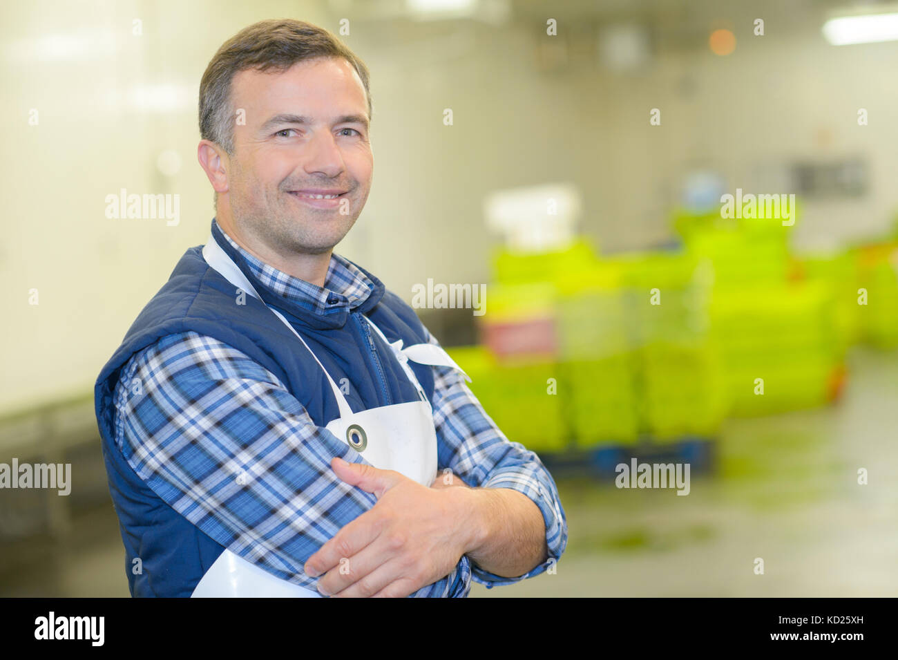 Portrait of man at work Stock Photo - Alamy