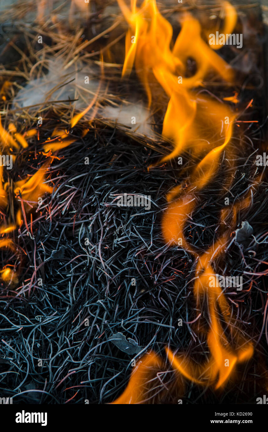 Close up of burning fire outdoors Stock Photo - Alamy