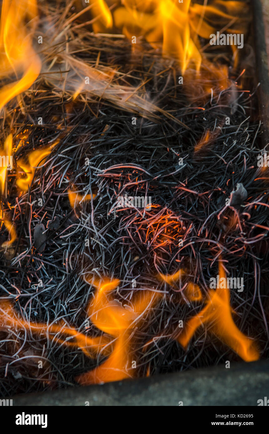 Close up of burning fire outdoors Stock Photo - Alamy