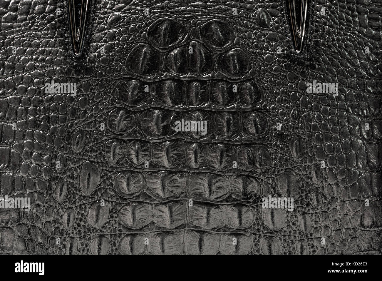 the texture of the skin is gray, Studio, still life photography Stock ...
