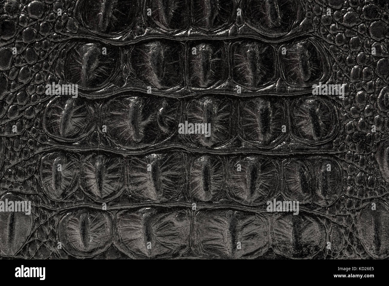 the texture of the skin is gray, Studio, still life photography Stock ...