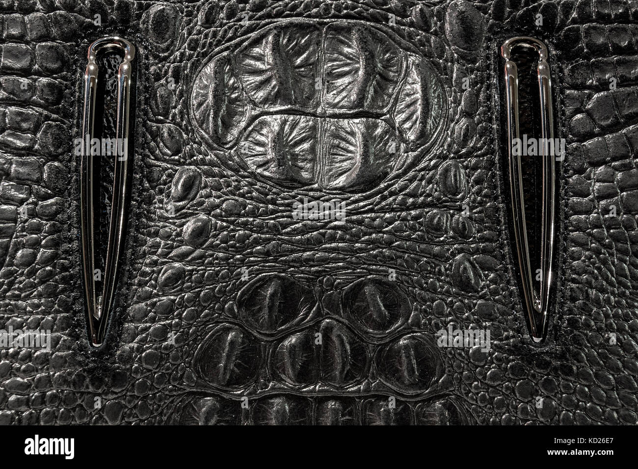 the texture of the skin is gray, Studio, still life photography Stock ...