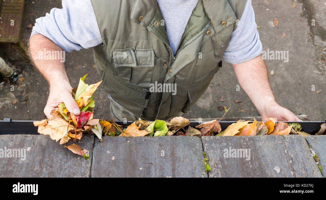 cleaning autumn leaves from gutter Stock Photo - Alamy