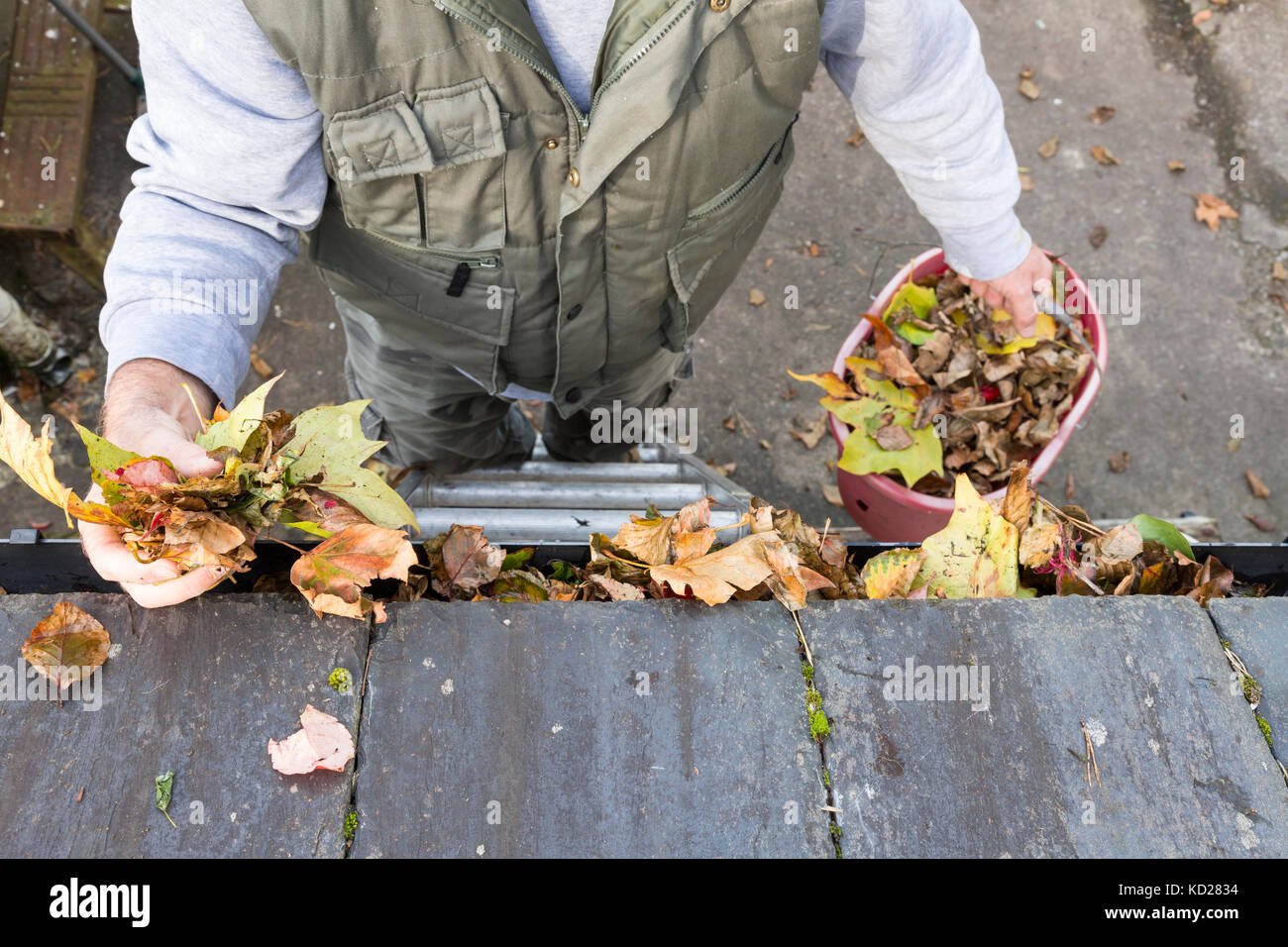 Cleaning of leaves hi-res stock photography and images - Alamy