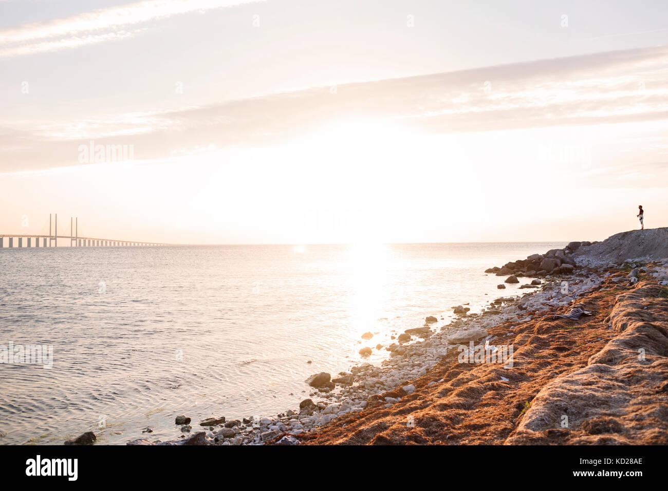 Silhouette of man looking at view Stock Photo - Alamy