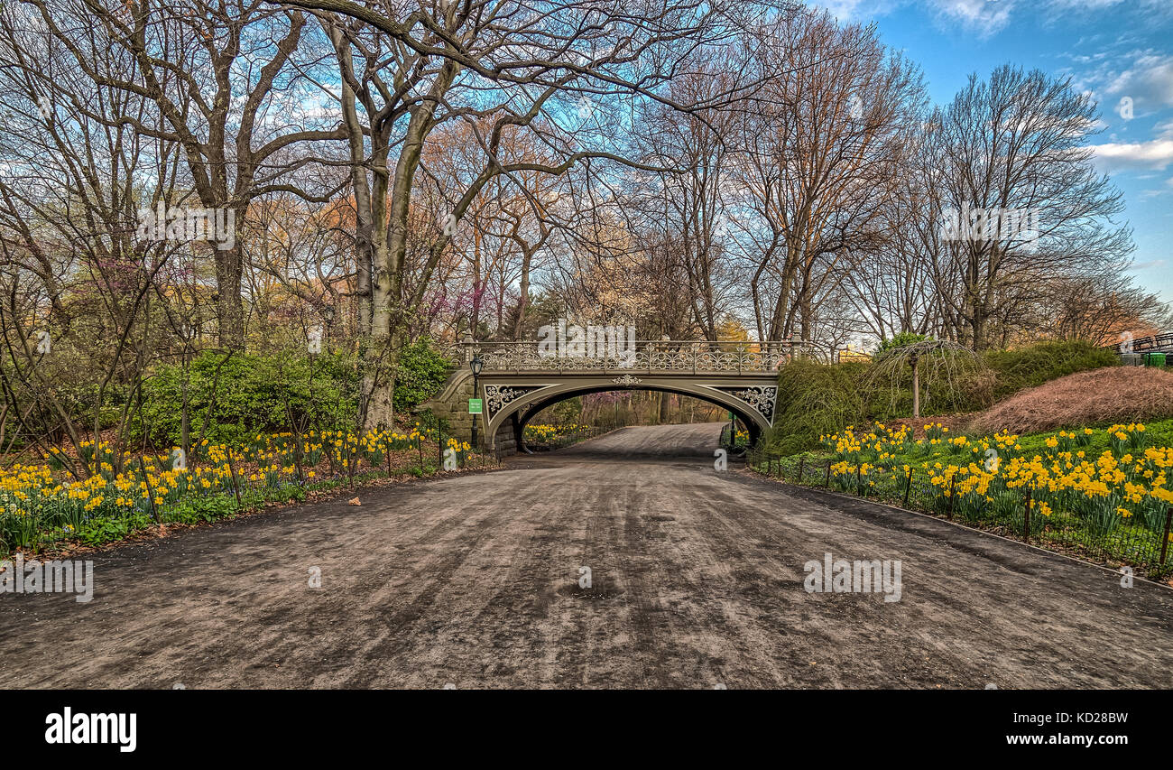 Central Park, New York City in early spring Stock Photo - Alamy