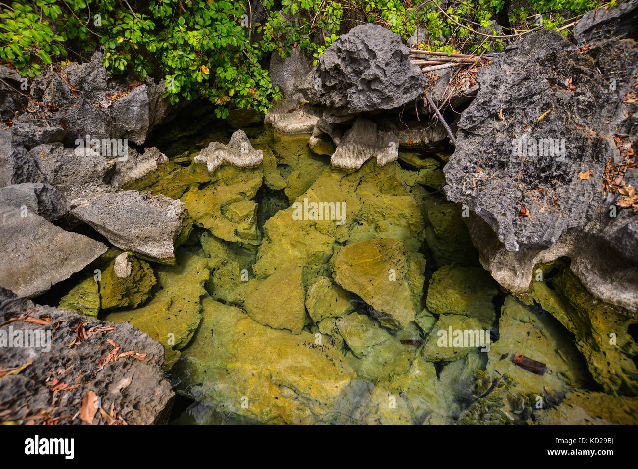 Pond with rocks at sunny day in Coron Island, The Philippines Stock ...