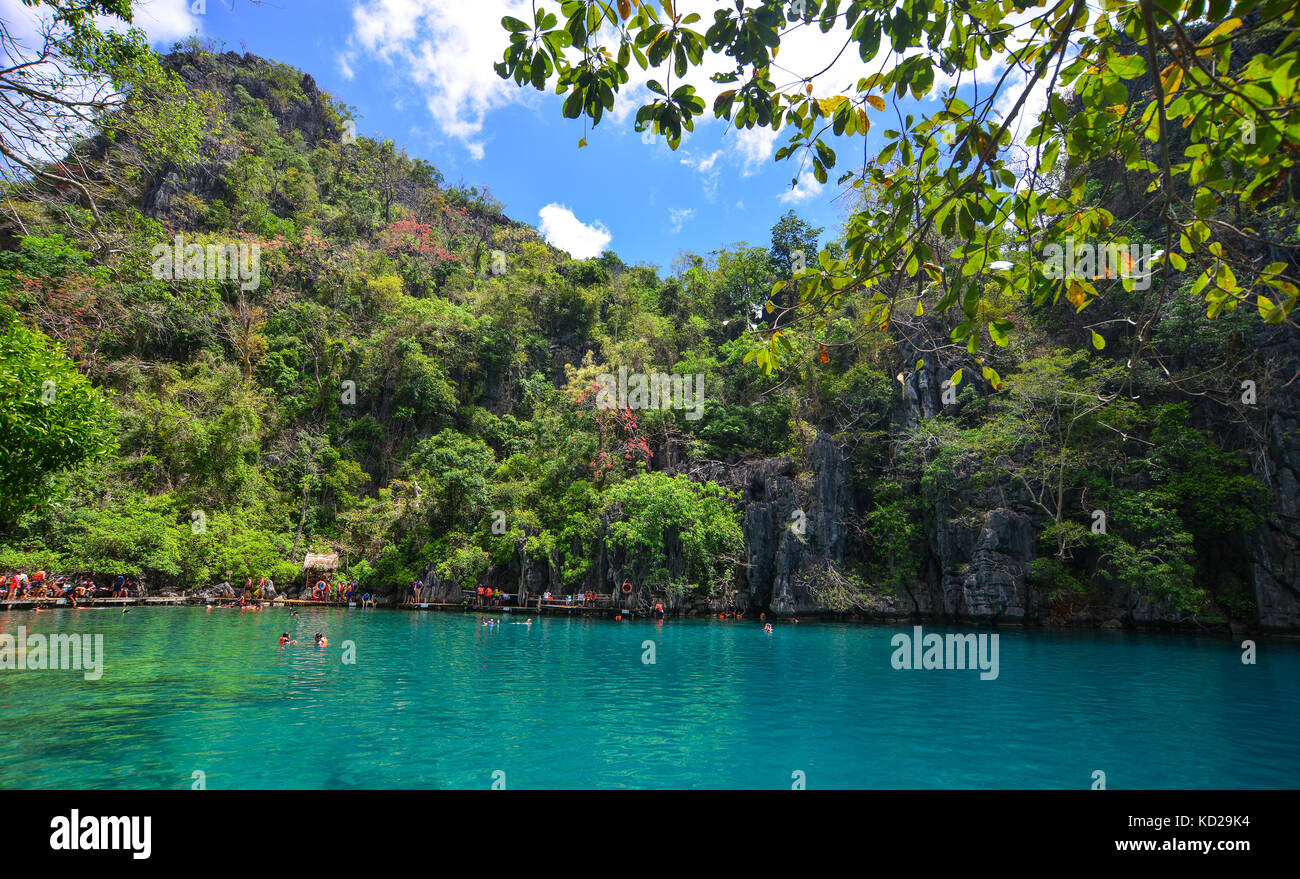 Barracuda Lake in Coron Island, Philippines. Coron is a beautiful ...