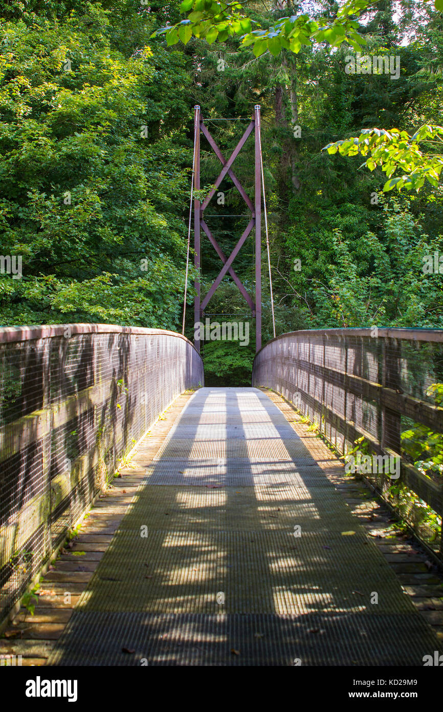 A view across the Inverted Bowstring Bridge across the Roe river in the ...