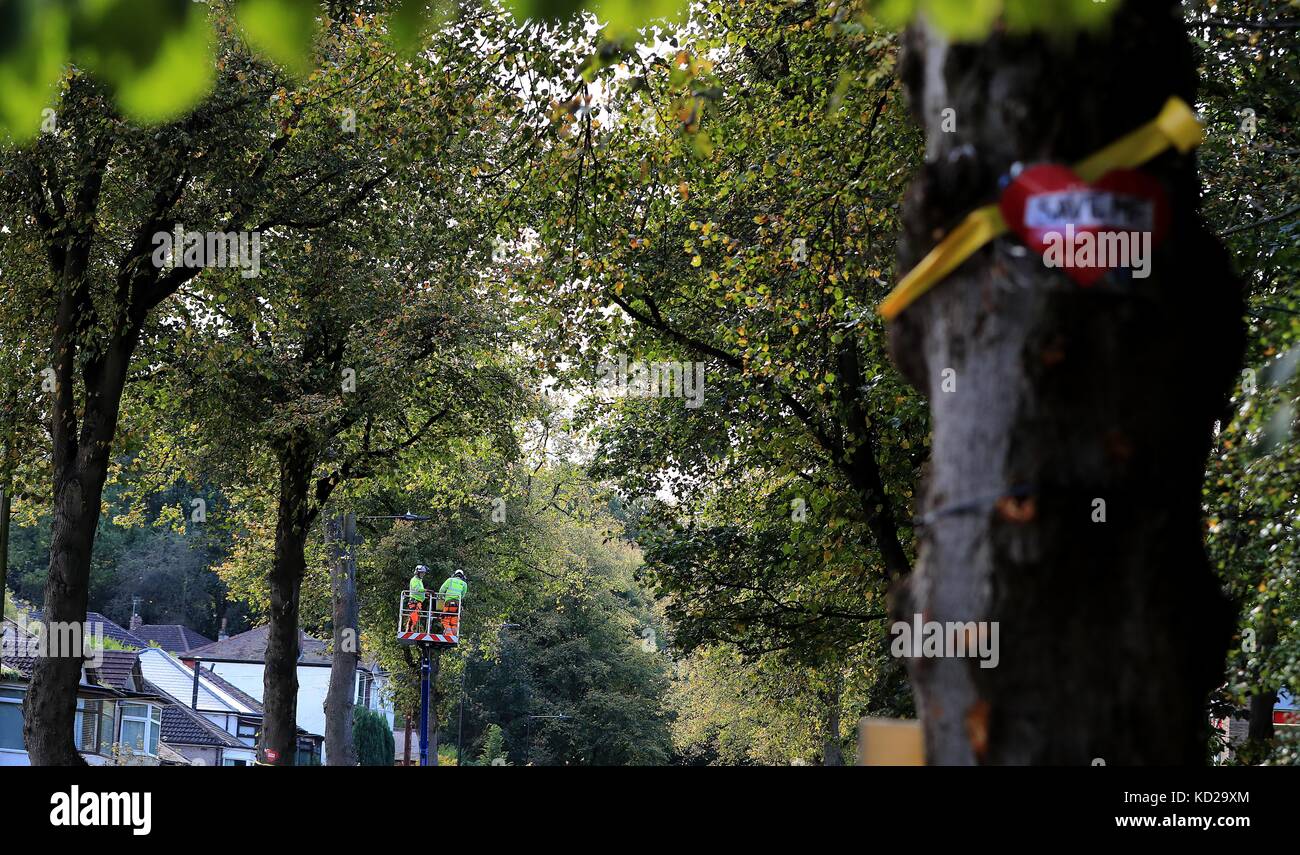 Workers use an aerial platform to reach a tree on Rivelin Valley Road ...