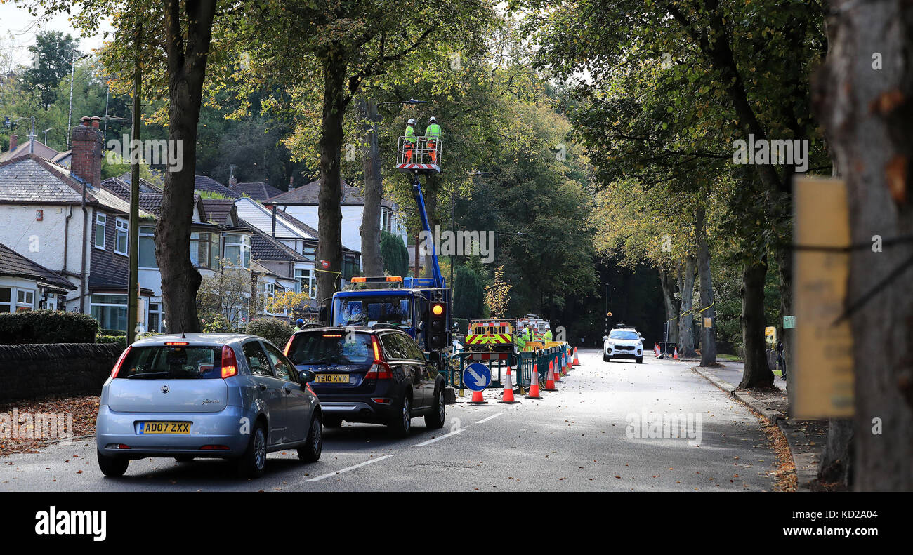 Workers use an aerial platform to reach a tree on Rivelin Valley Road ...