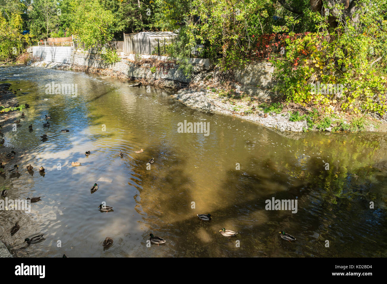 Parkette hi-res stock photography and images - Alamy