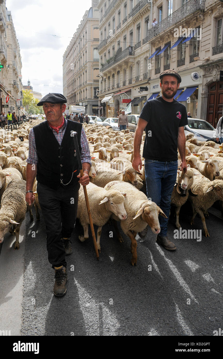 French shep breeders march in Lyon to protest against wolves attacks ...