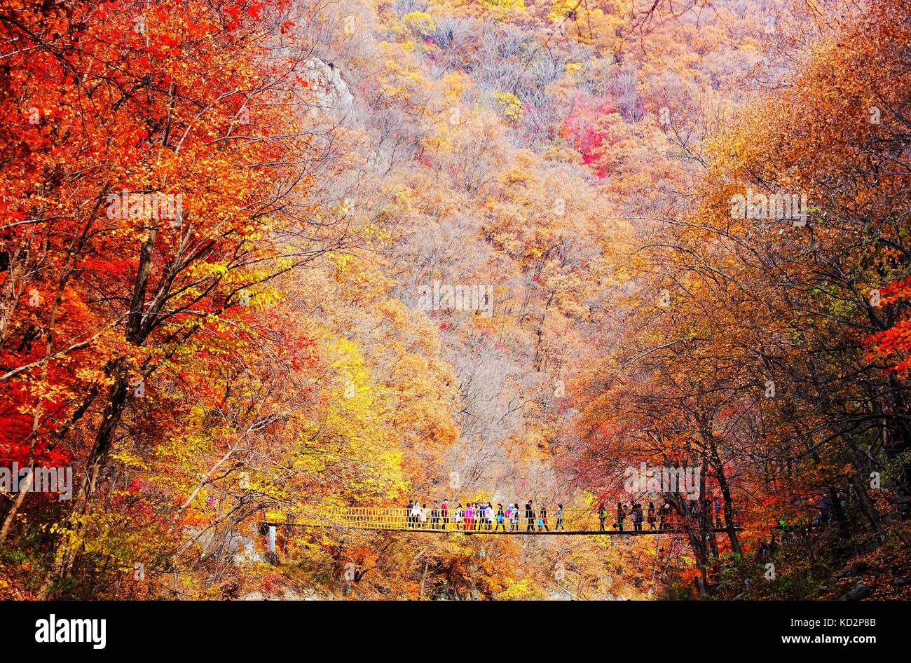 Fushun, China's Liaoning Province. 8th Oct, 2017. Tourists enjoy the ...