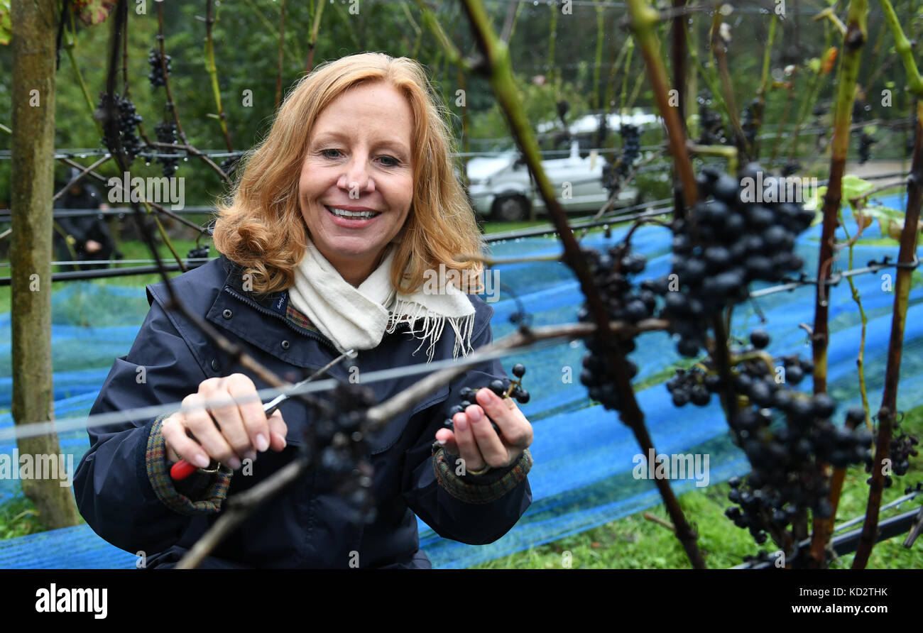Potsdam, Germany. 10th Oct, 2017. Patricia Schlesinger, director of ...