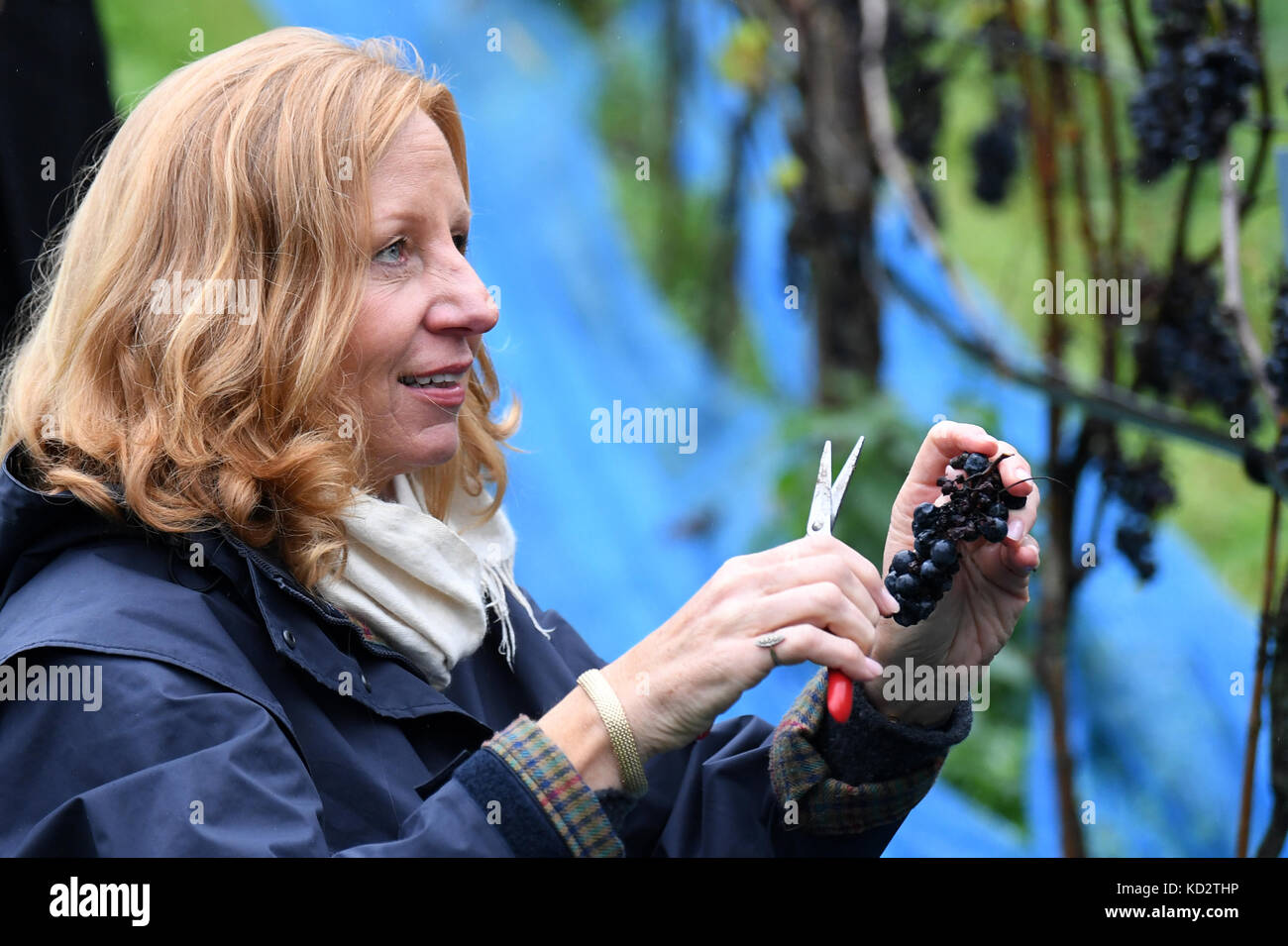 Potsdam, Germany. 10th Oct, 2017. Patricia Schlesinger, director of ...