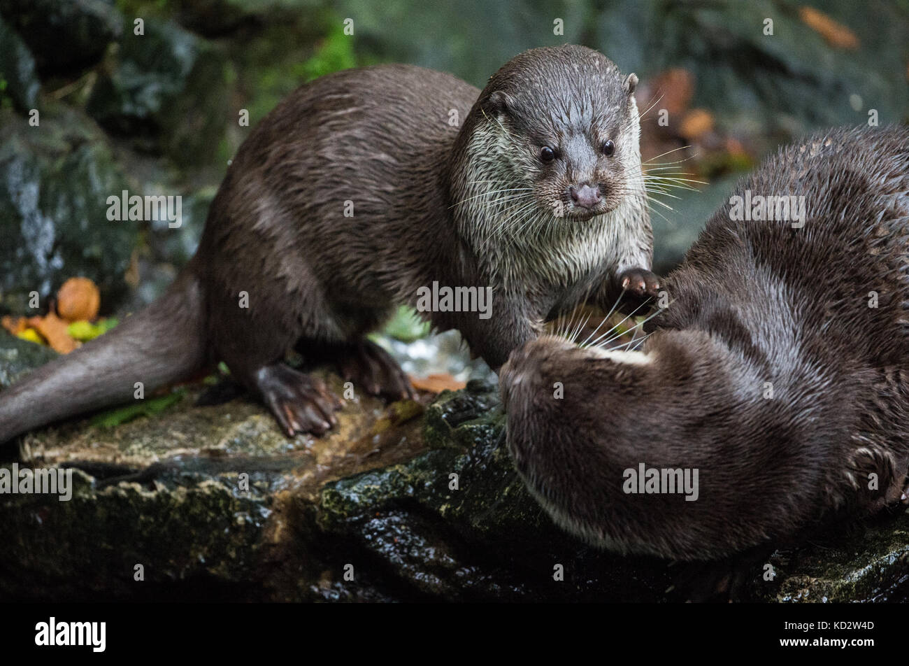 Escape ways hi-res stock photography and images - Alamy