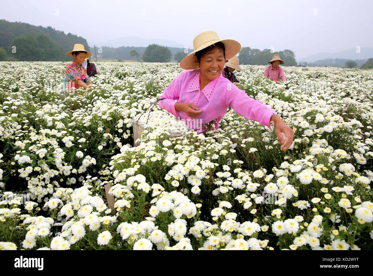 Anhui sheng hi-res stock photography and images - Alamy
