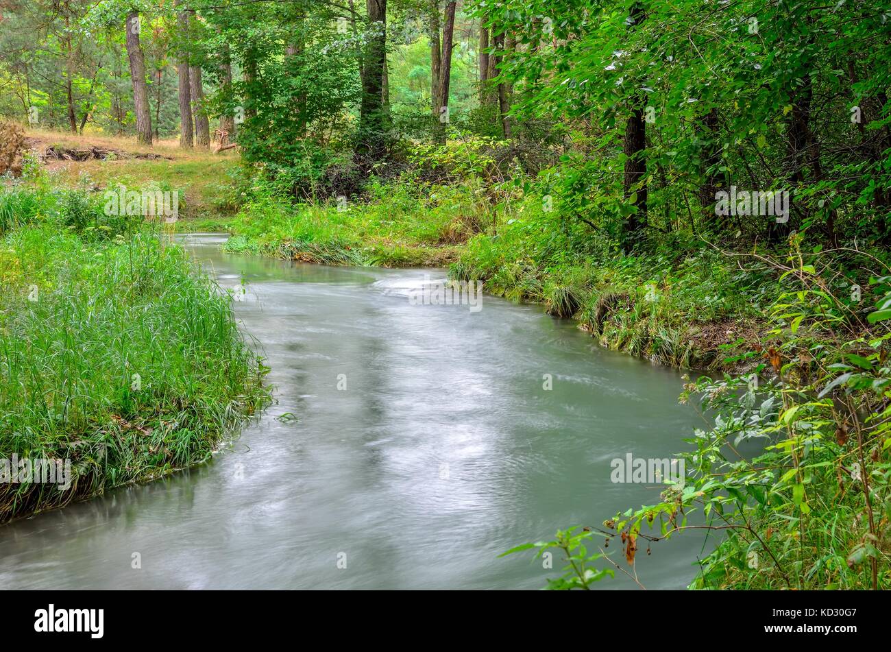 Beautiful blue river. River with beautiful water color in the green ...