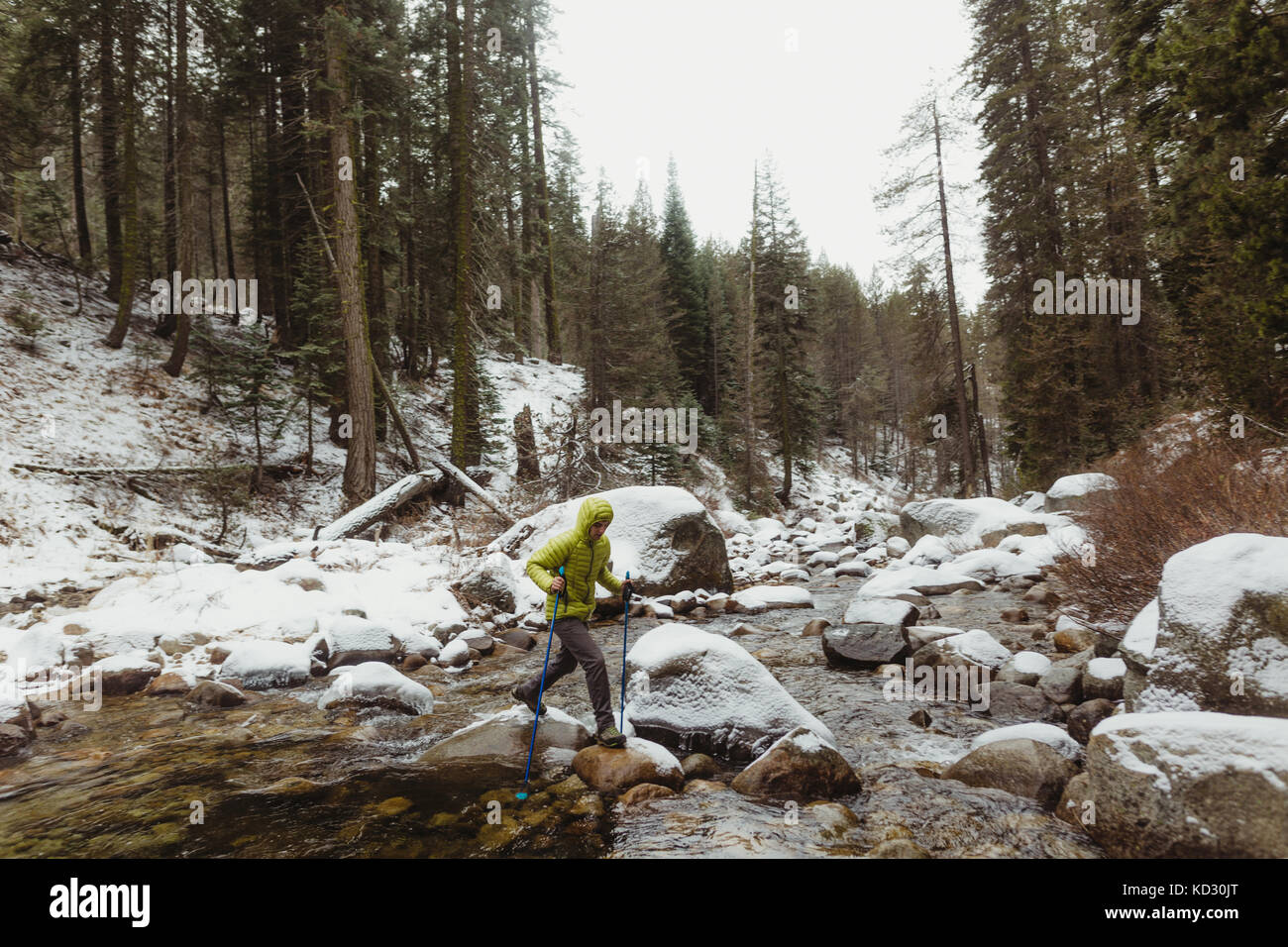 Stepping into nature hi-res stock photography and images - Alamy