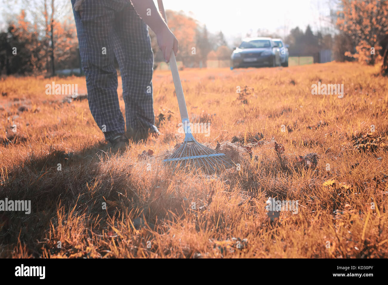 Old man raking grass hi-res stock photography and images - Alamy