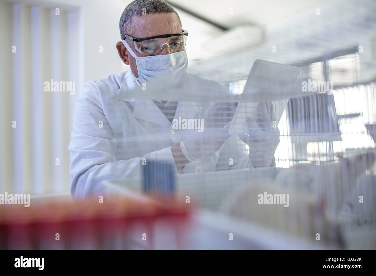 Laboratory rats cage hi-res stock photography and images - Alamy
