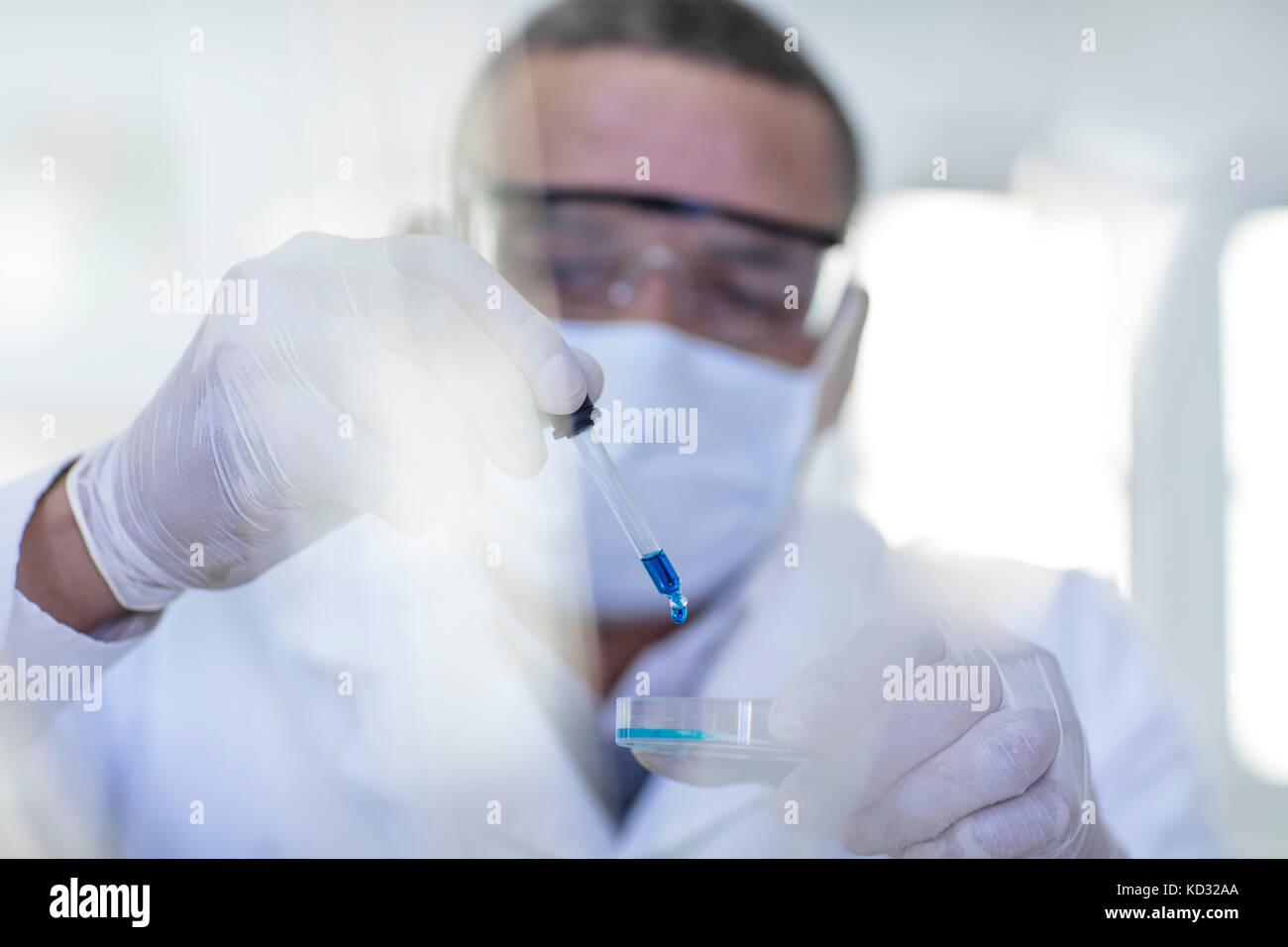 Laboratory worker using pipette, dripping liquid into petri dish Stock ...