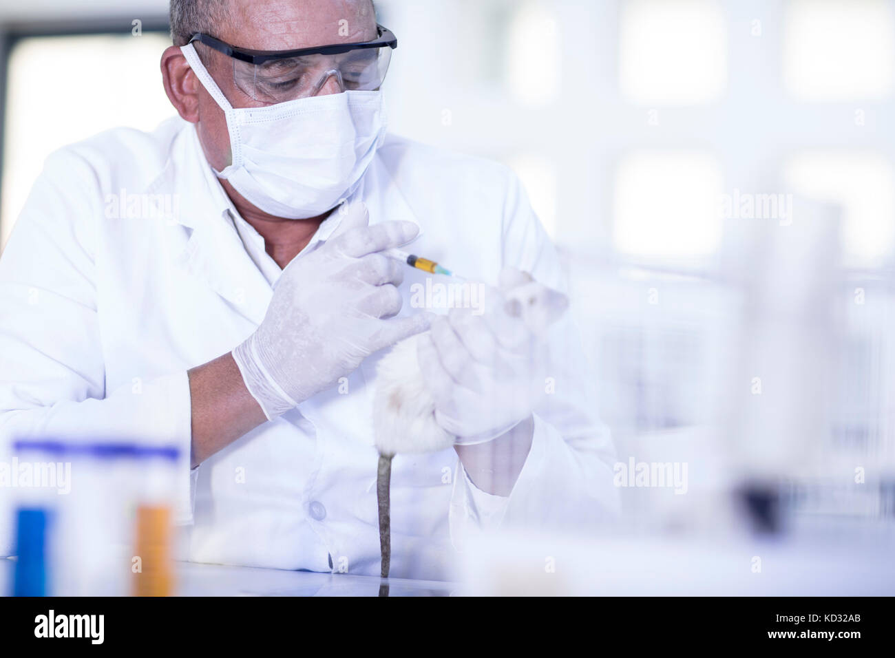 Laboratory worker injecting white rat using syringe Stock Photo - Alamy