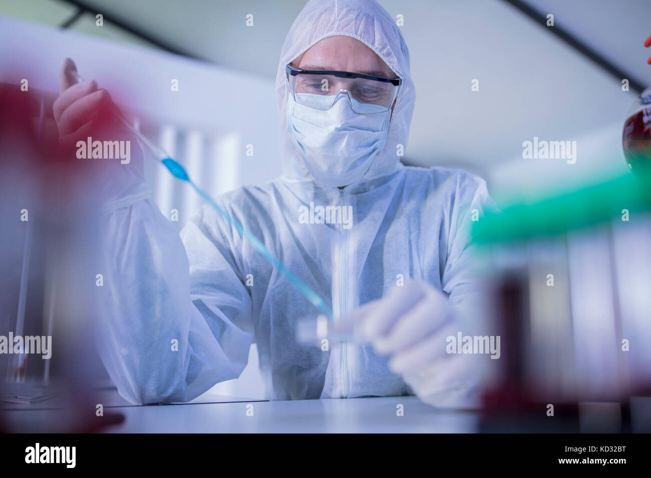 Laboratory worker using long pipette to transfer liquid to petri dish ...