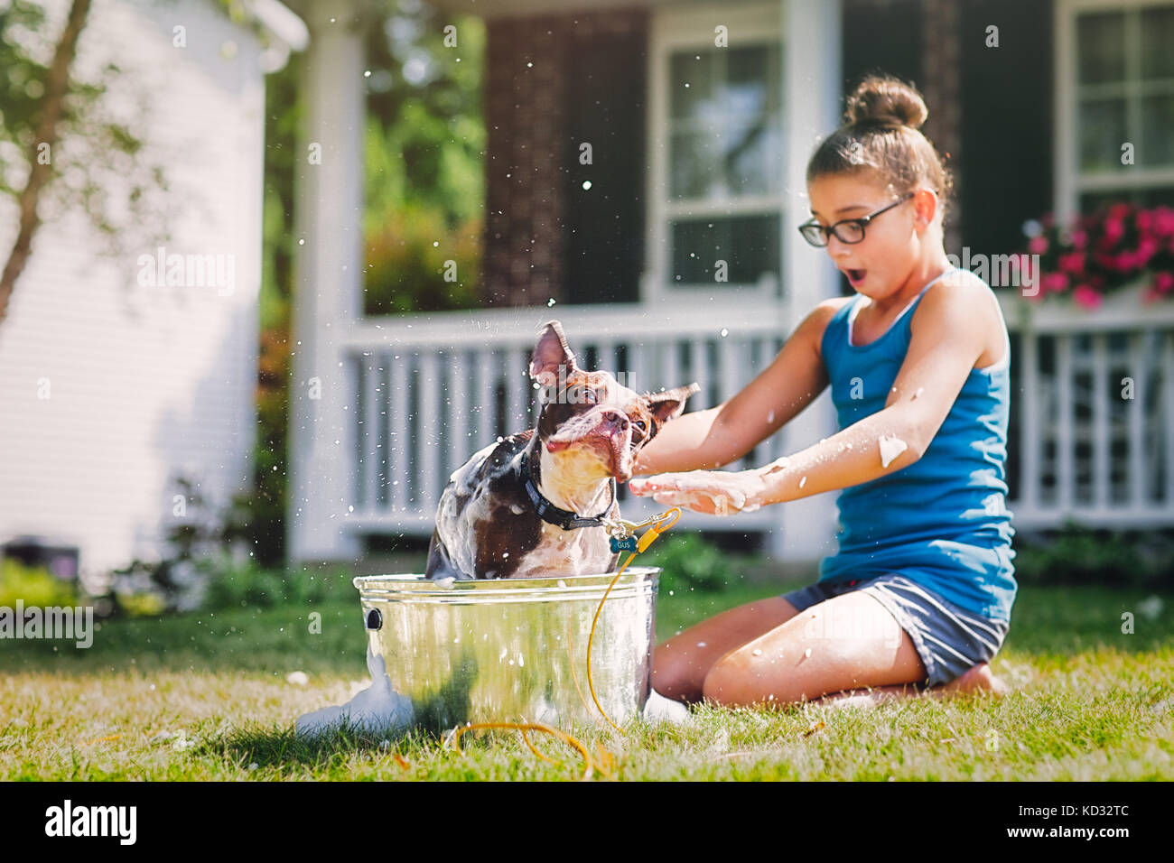 Girl Washing Dog High Resolution Stock Photography and Images - Alamy