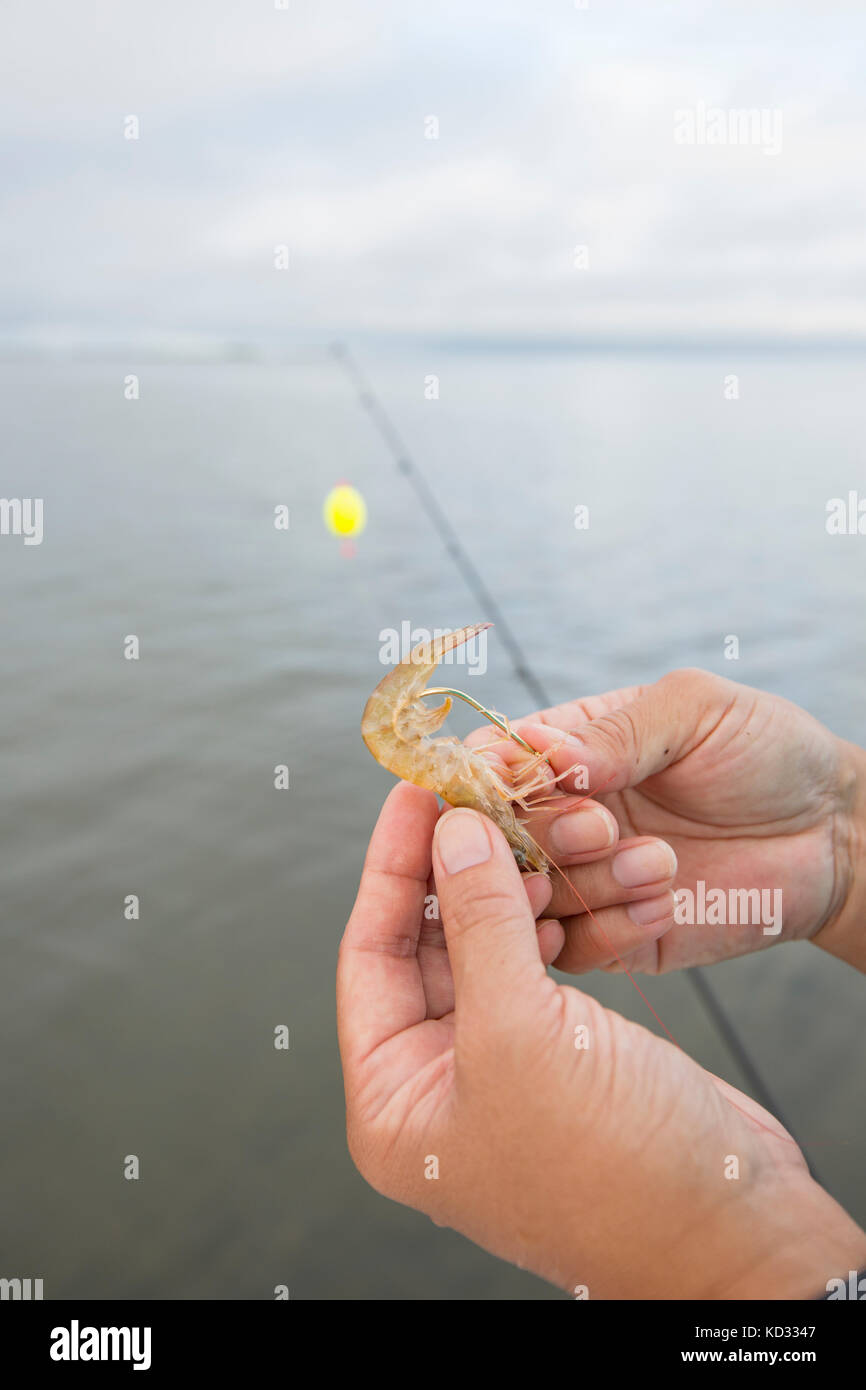 Hooking Up Stock Photos & Hooking Up Stock Images - Alamy