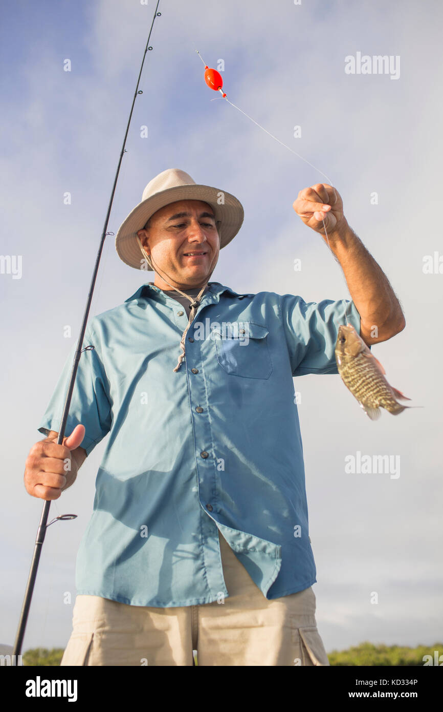 Mangrove snapper hi-res stock photography and images - Alamy