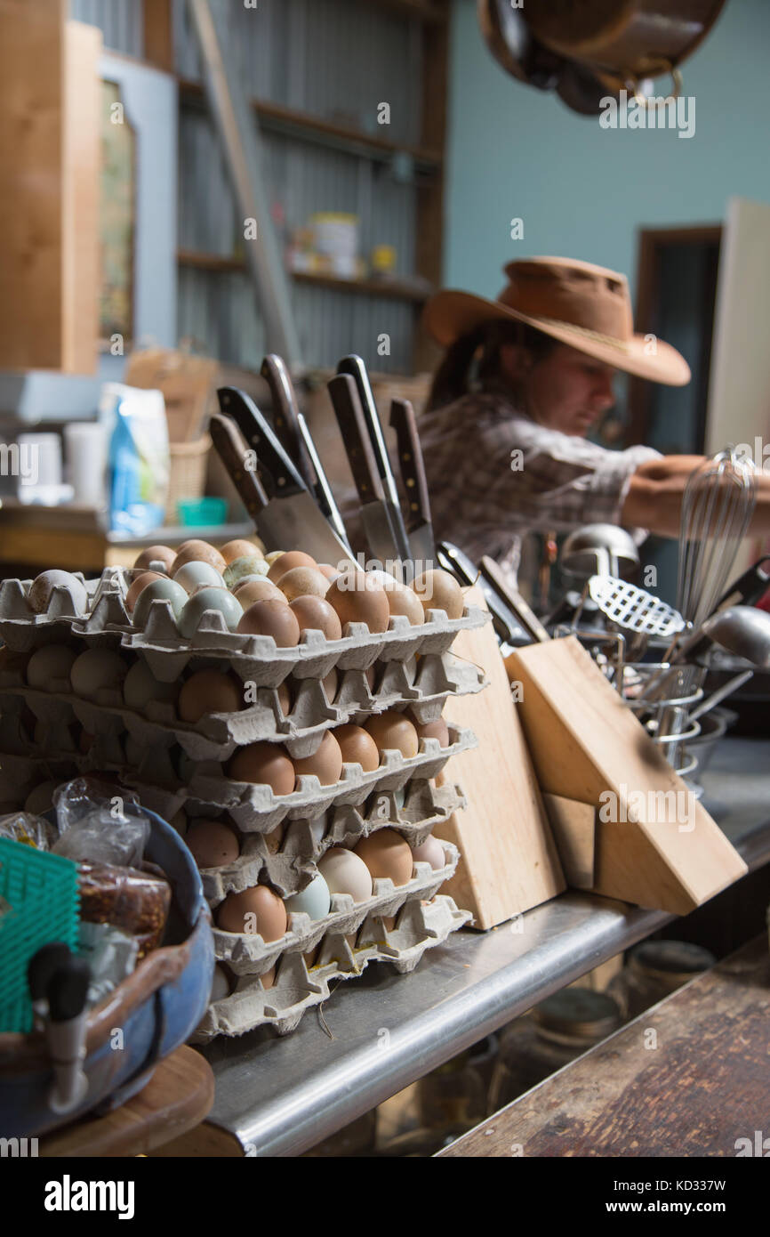 Woman in kitchen farm hi-res stock photography and images - Alamy