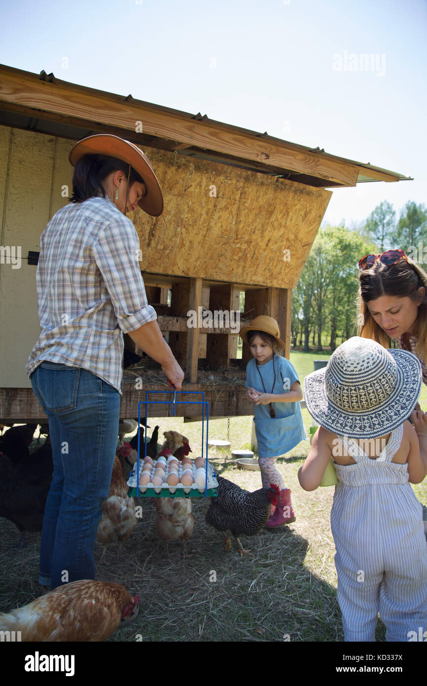 Family working on farm, collecting eggs from chicken coop Stock Photo ...