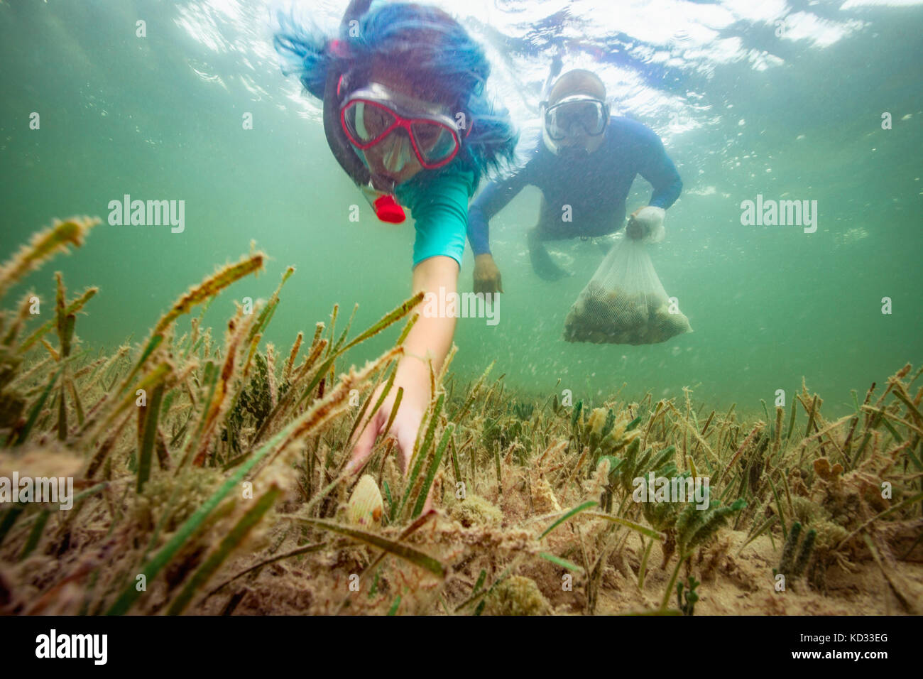 Real hunting hi-res stock photography and images - Alamy