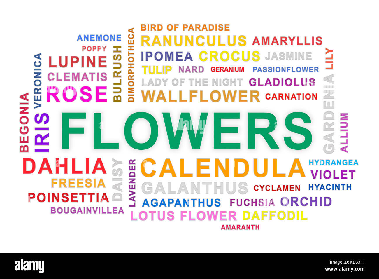 Allium and iris Cut Out Stock Images & Pictures - Alamy