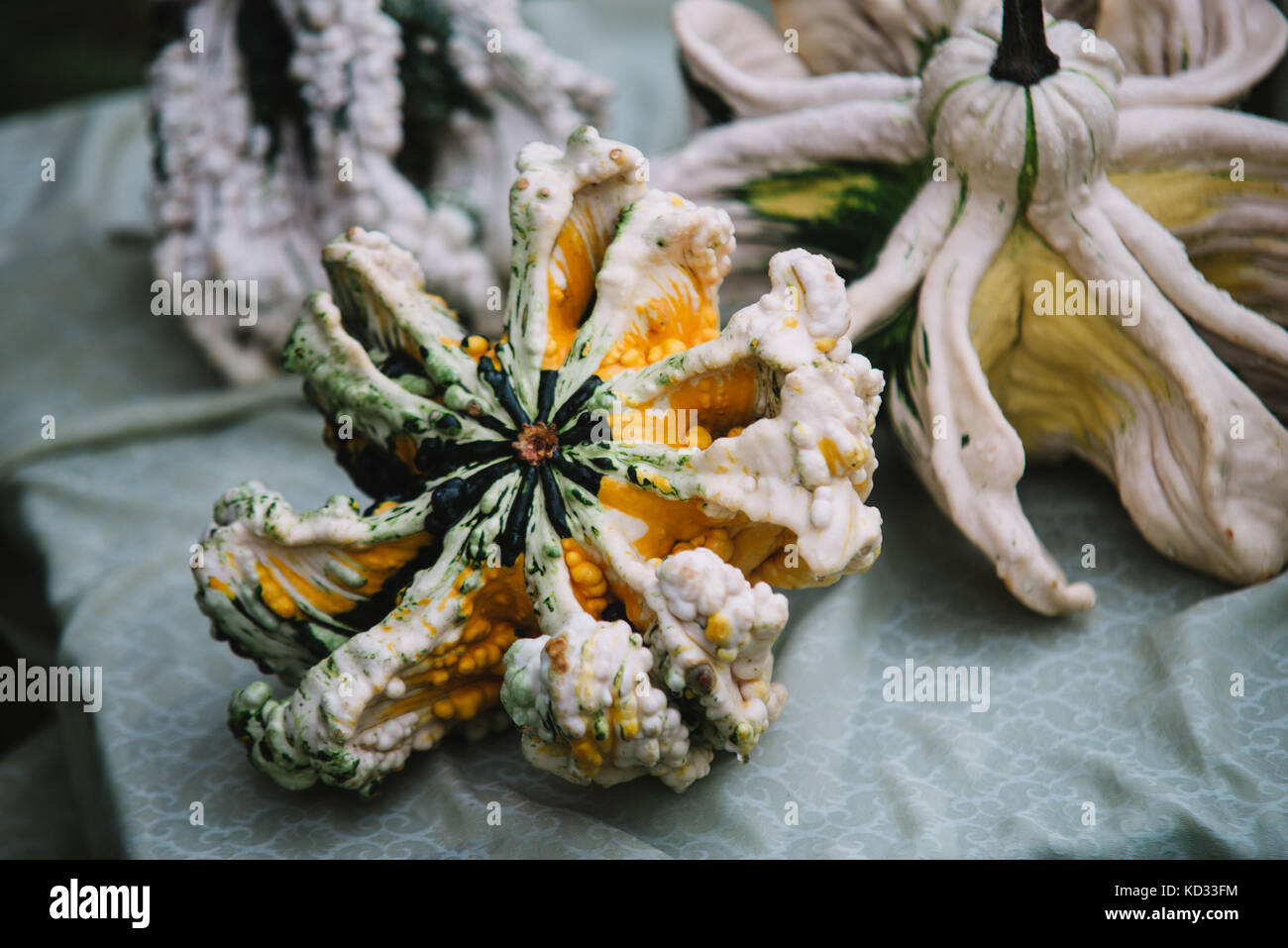Close up on strange pumpkin in the basket Stock Photo - Alamy