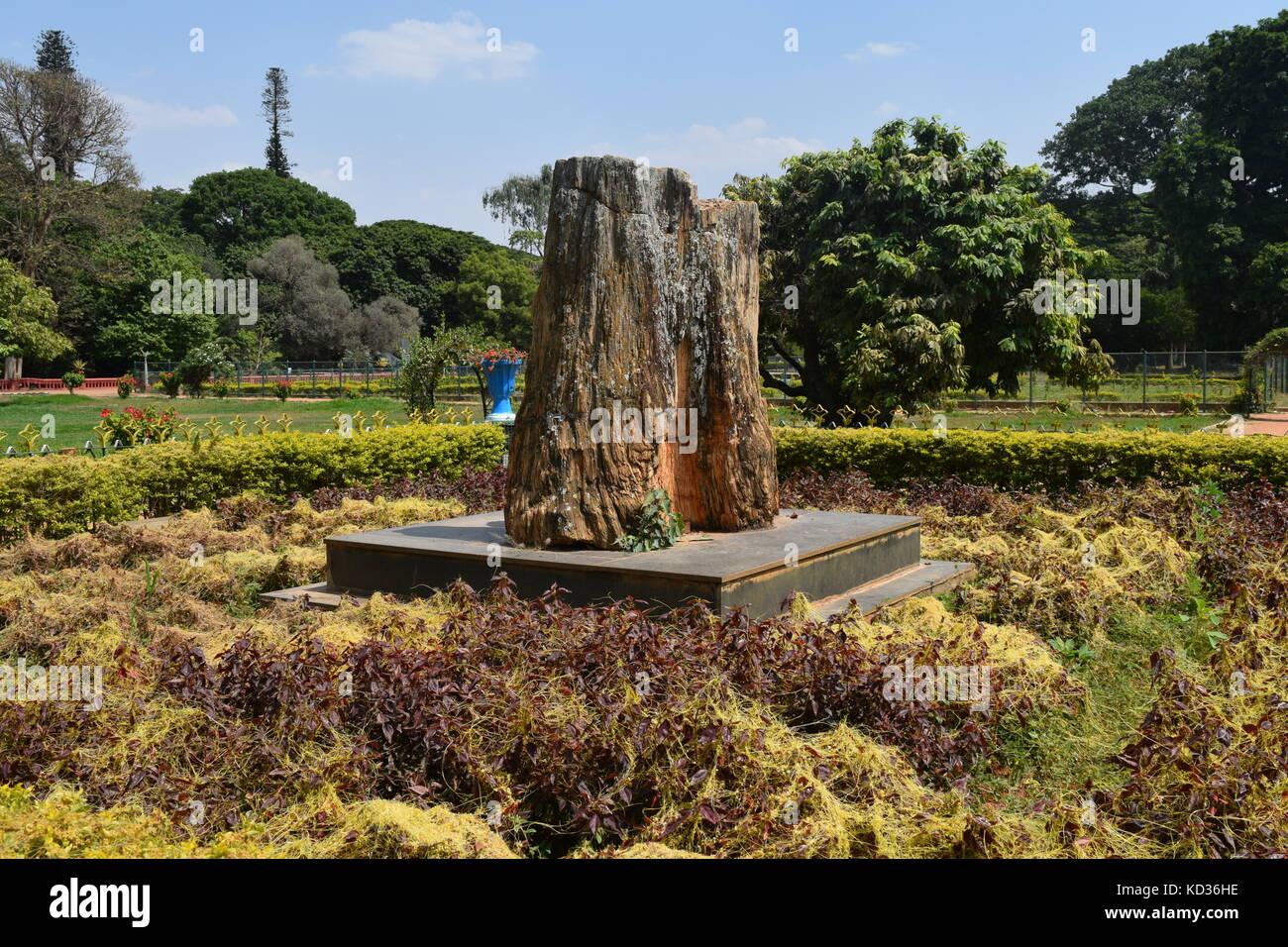 Fossil garden hi-res stock photography and images - Alamy