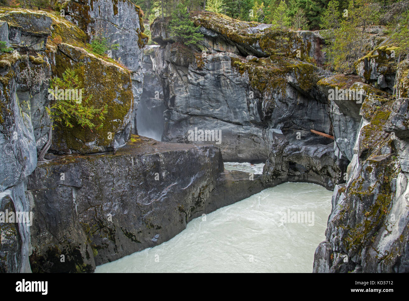 British columbia waterfall hi-res stock photography and images - Alamy