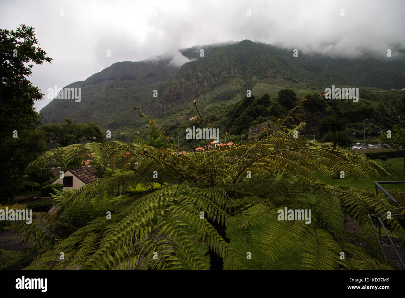 Wide view of the typical Mountain landscapes of Madeira Island ...
