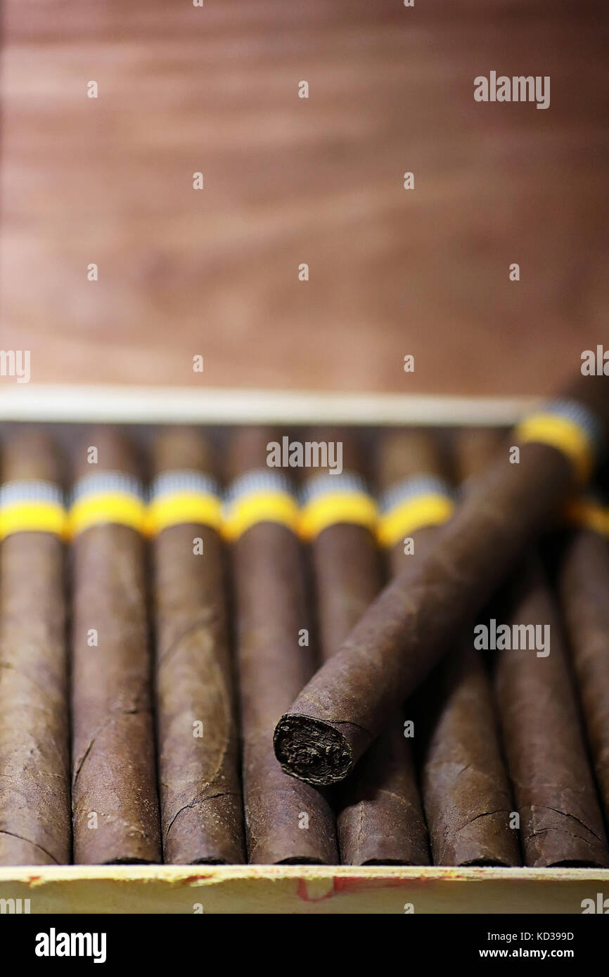 large wooden box of cigars handmade Cuban Stock Photo - Alamy