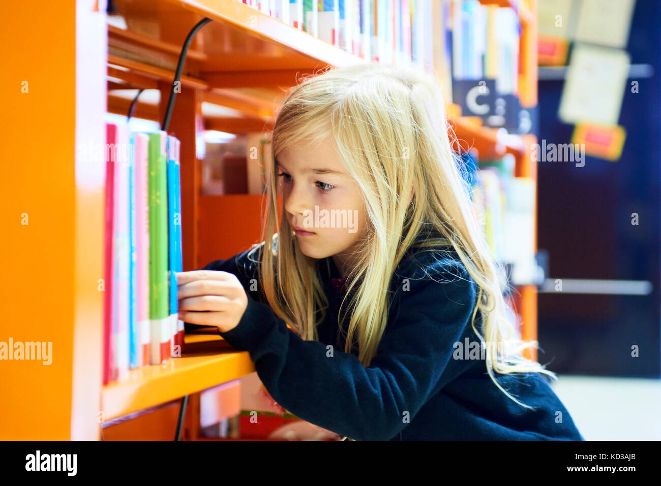 Child girl in public library with books Stock Photo - Alamy