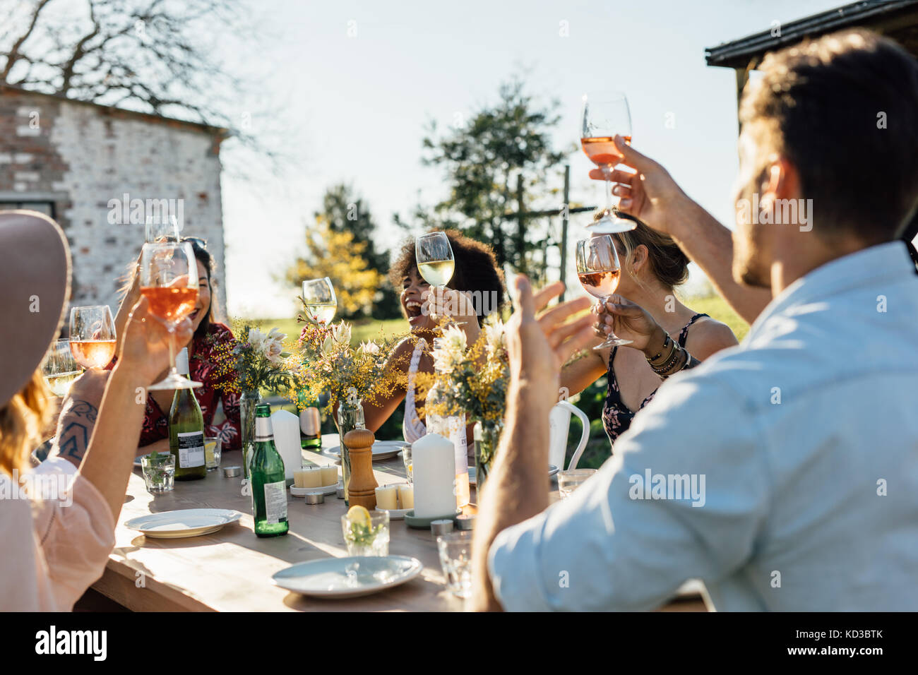Friends toasting drinks at a party. Young people hanging out at ...