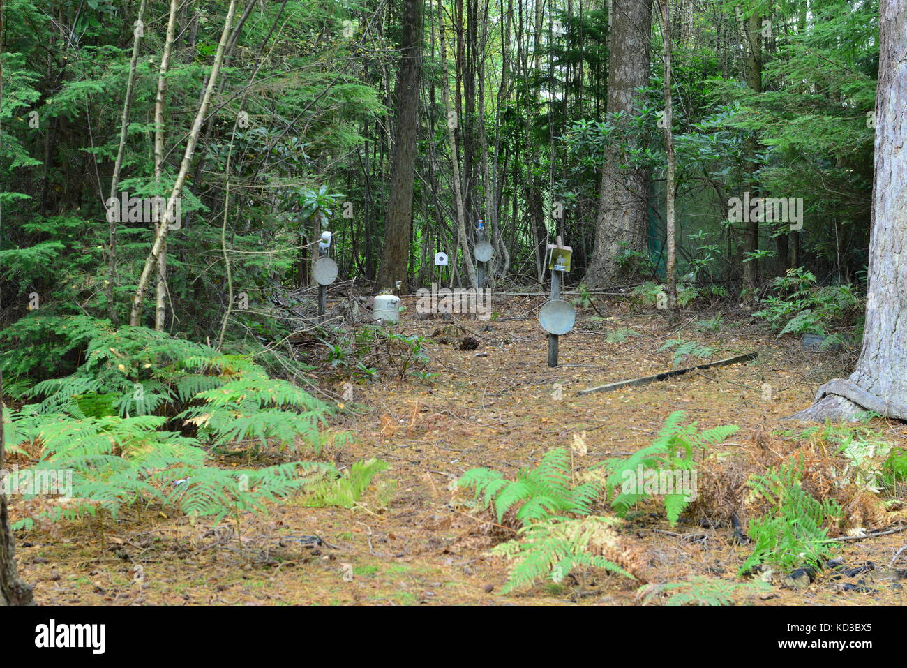 A shooting range deep in a Forest in the UK Stock Photo - Alamy