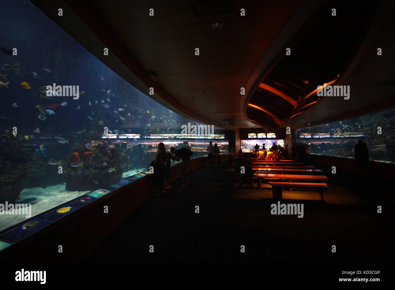 aquarium of Valencia Stock Photo - Alamy